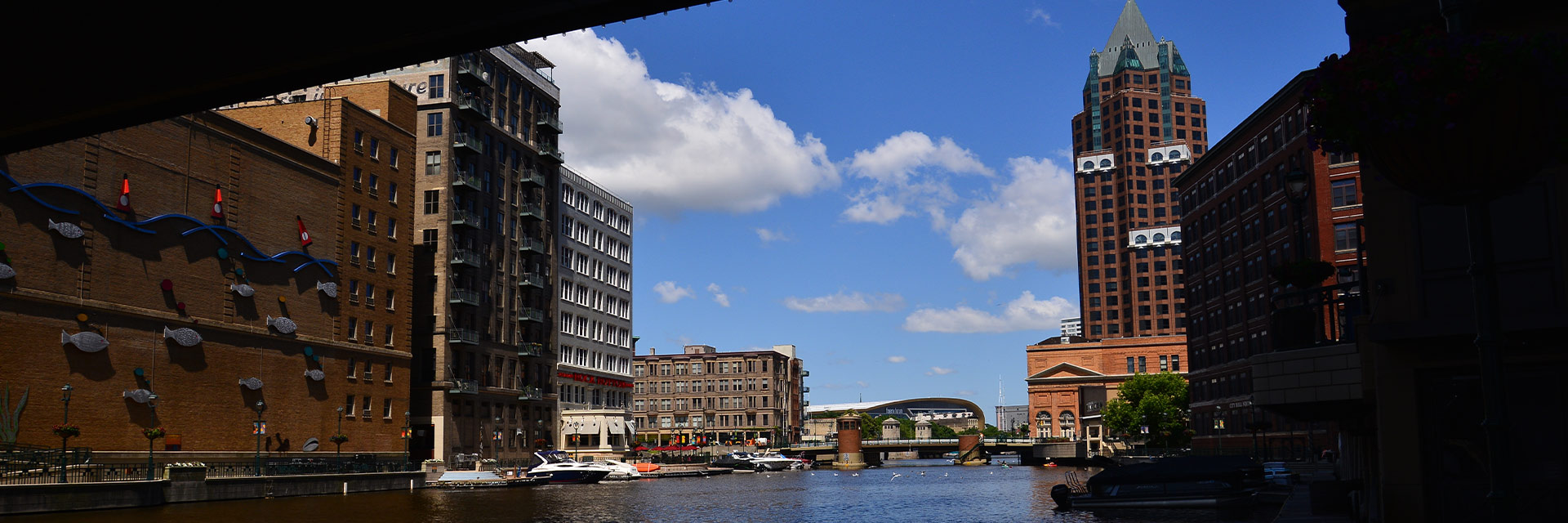 WISN - Milwaukee - Stream live local news and weather