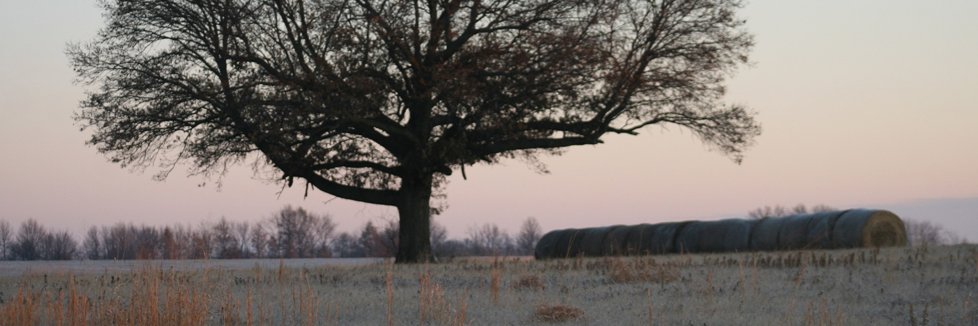 KTVO - Kirksville - Stream live local news and weather