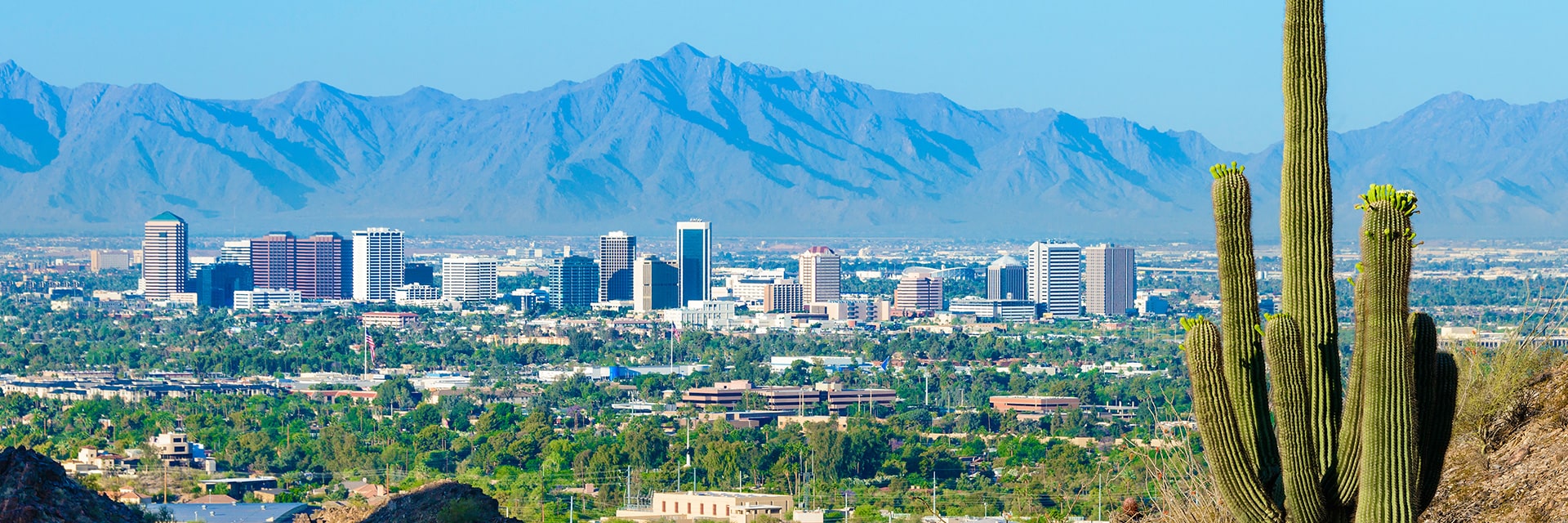 KNXV ABC15 News Arizona - Stream live local news and weather